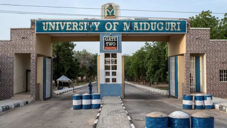 University of Maiduguri Releases 2023/2024 Remedial Science 1st Batch ...