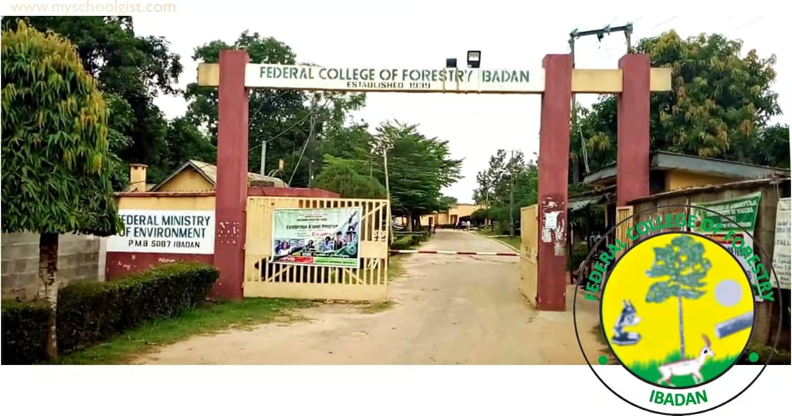 Celebrating 85 Years of Excellence: Federal College of Forestry, Ibadan ...