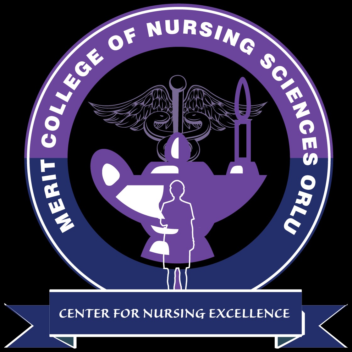 Merit College of Nursing Sciences, Orlu Opens 2025/2026 Admission: Here ...