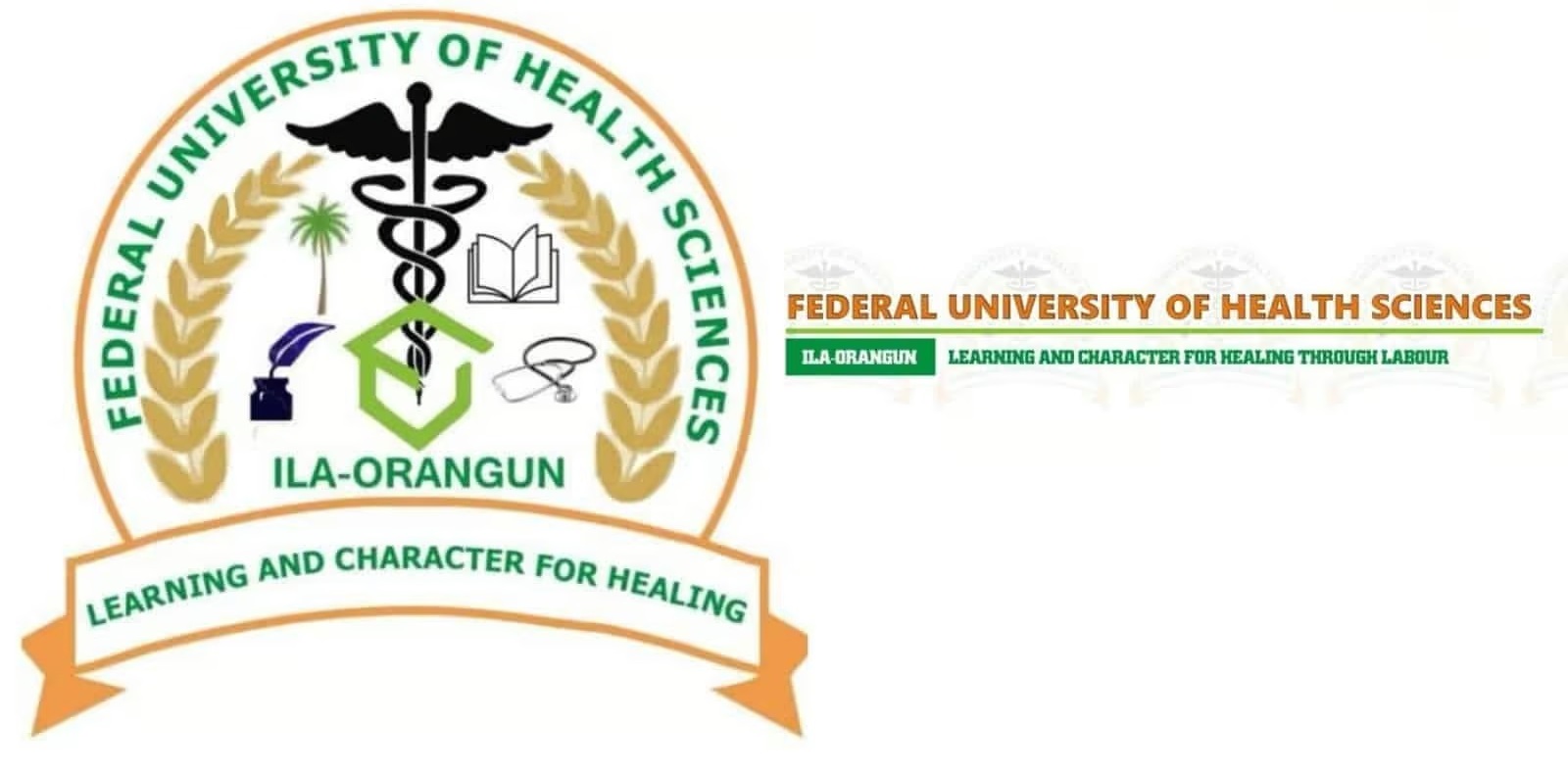 University of Benin Teaching Hospital (UBTH) Opens Admission for 2024/ ...